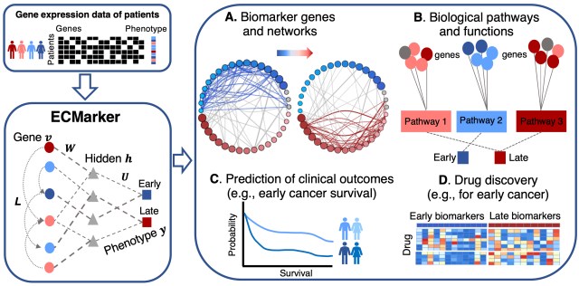 Tools | Daifeng Wang Laboratory