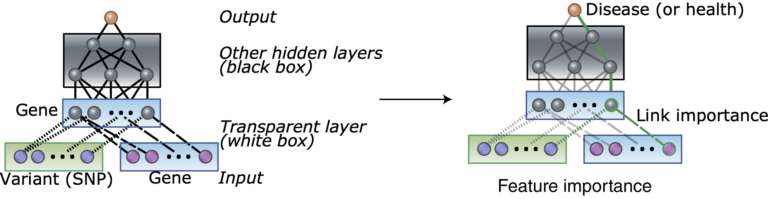 Tools | Daifeng Wang Laboratory