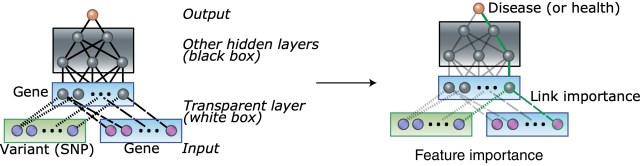 Tools | Daifeng Wang Laboratory