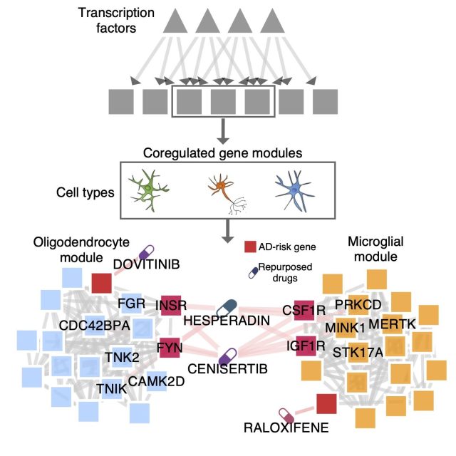 Research | Daifeng Wang Laboratory